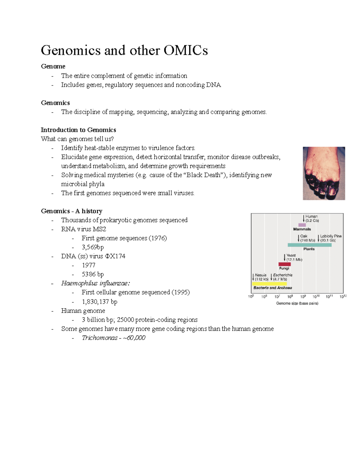 Genonimcs and other OMIC's - Genomics and other OMICs Genome - The ...