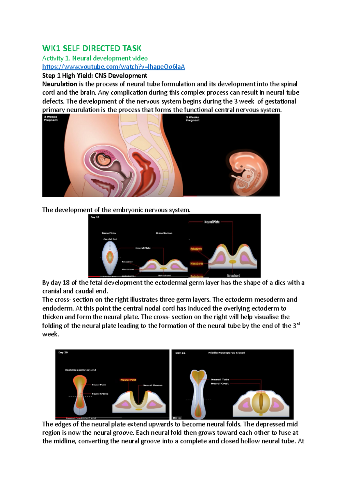 WK1 SELF Directed TASK - pre- learning for beginning of semester - WK1 ...