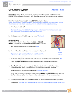 Optics-Simbucket-Mirror - Simulation – (Simbucket Double Slit Interference) Simulator: simbucket ...