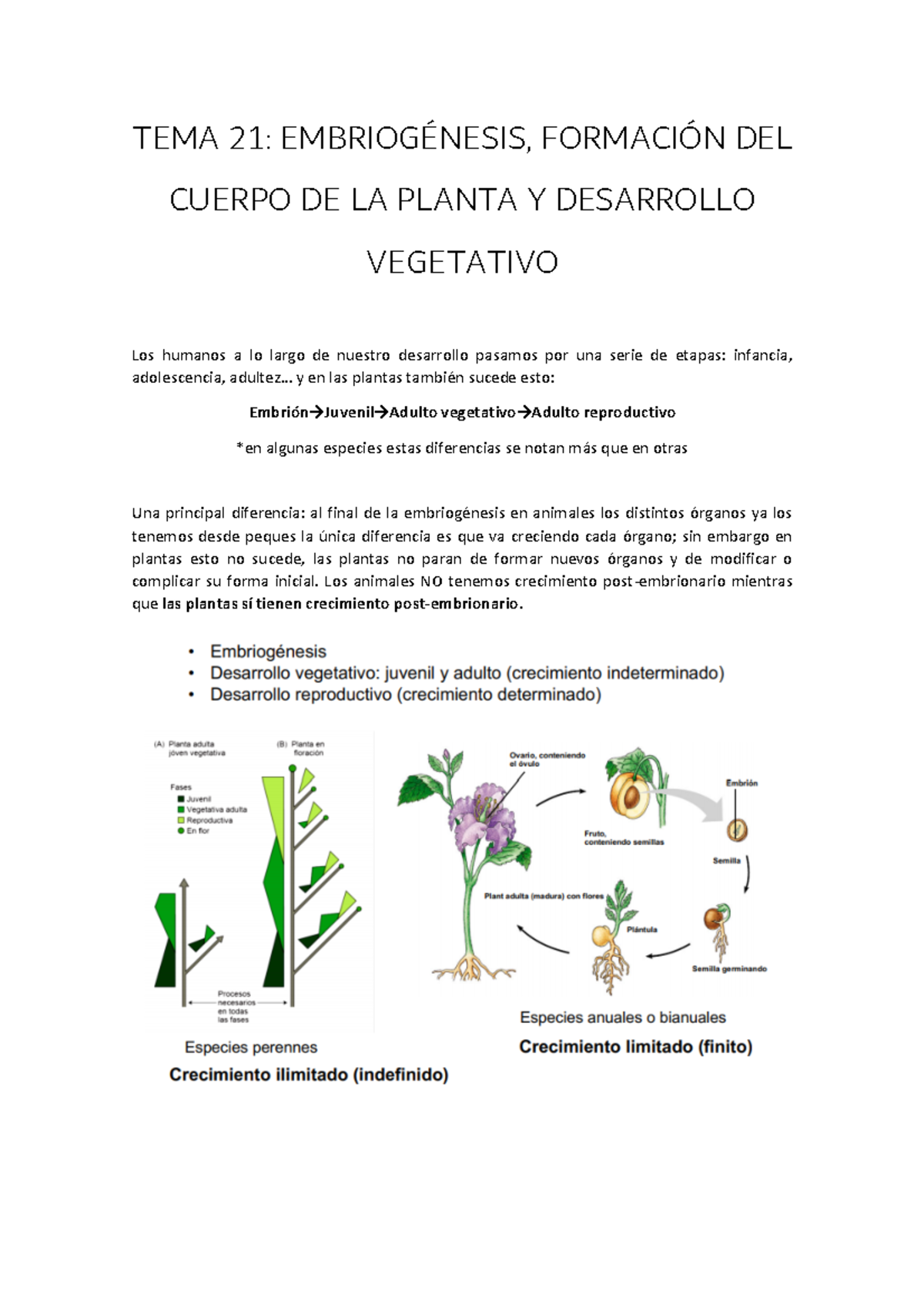 Tema 21 fisioveg - tema 21 - TEMA 21: EMBRIOGÉNESIS, FORMACIÓN DEL ...
