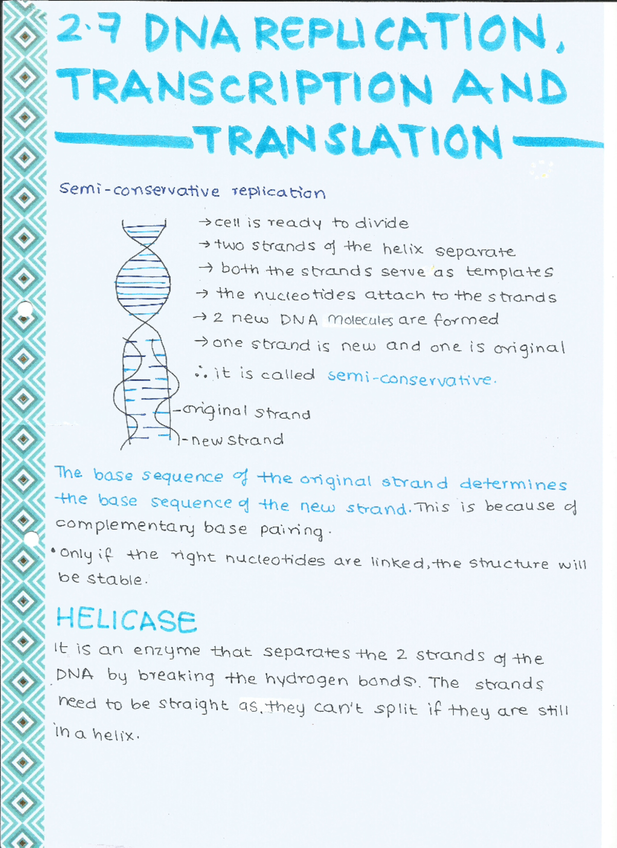 Bio notes - 2 DNA REPLICATION STRANSCRIPTION AND TRANSLATION ...