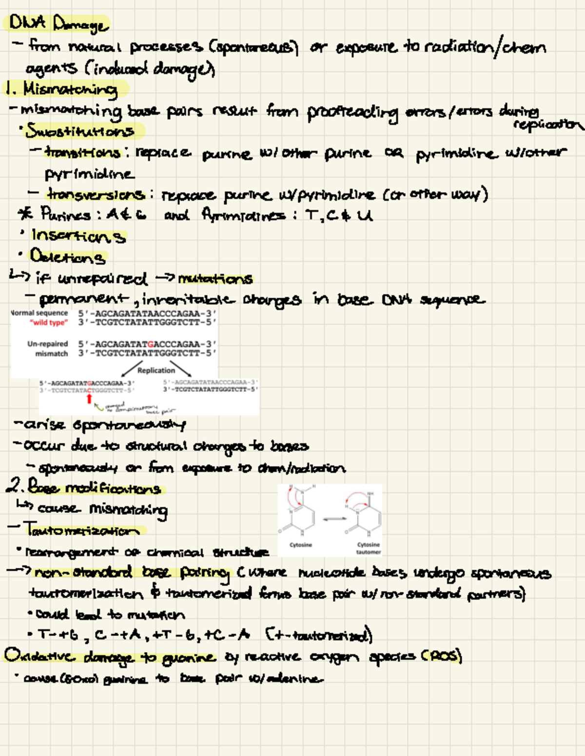 DNA - lecture notes - DNA Damage - from natural processes (spontaneous ...