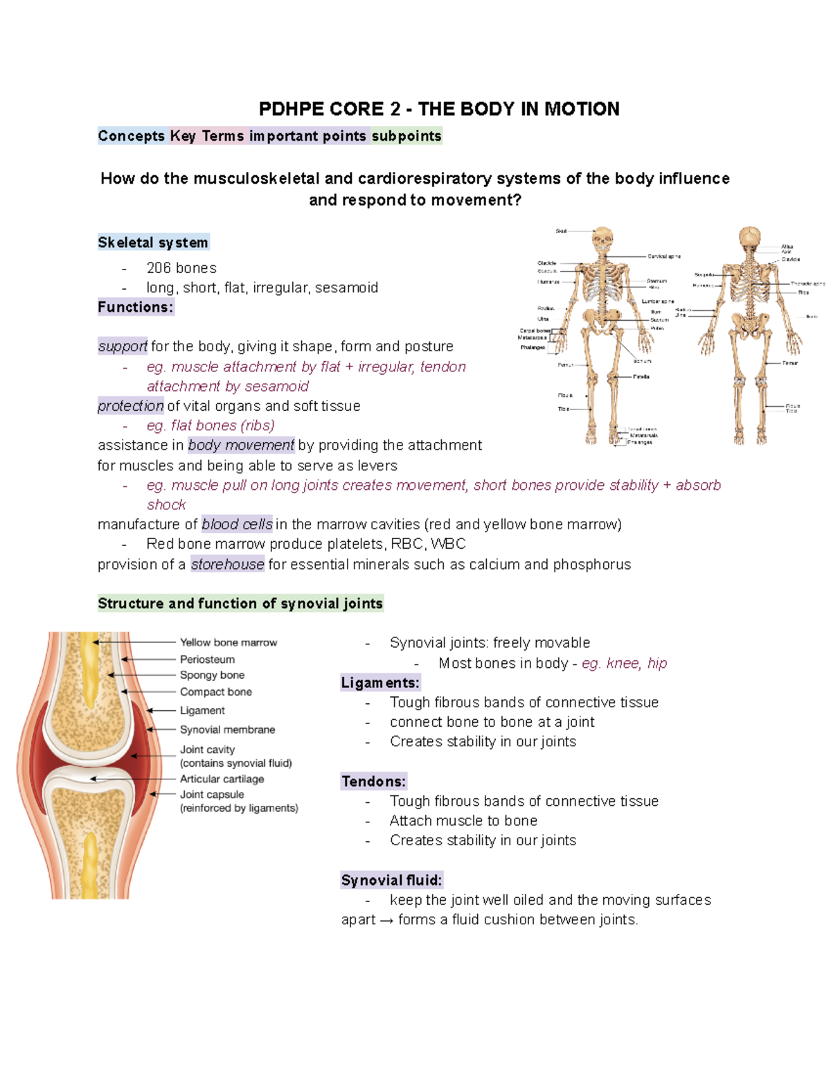 Pdhpe CORE 2 - The Body in Motion - PDHPE CORE 2 - THE BODY IN MOTION ...