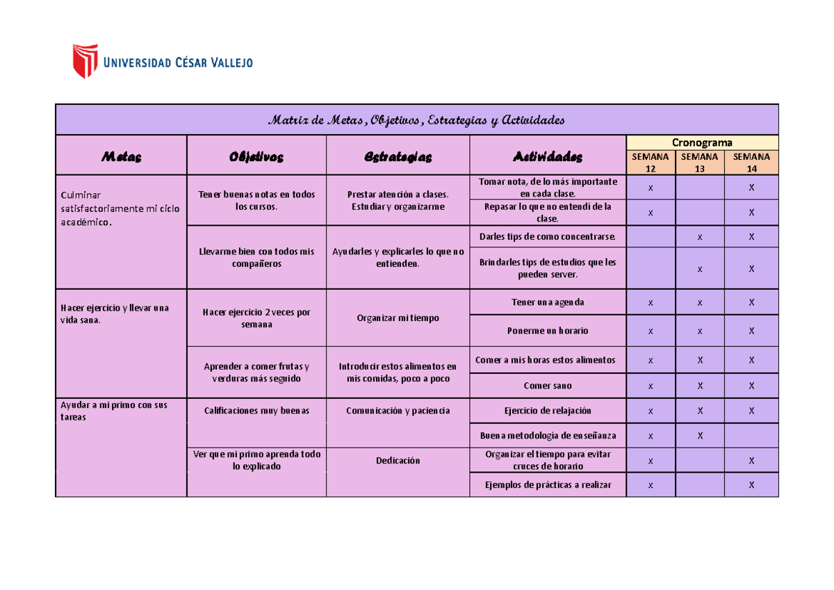 Metas A Corto Plazo - Matriz de Metas, Objetivos, Estrategias y ...