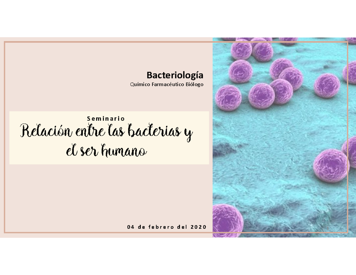 Relación entre las bacterias y el ser humano - Bacteriología Químico ...