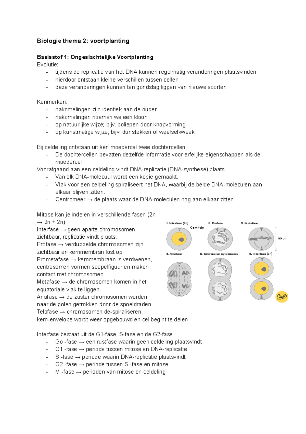 Biologie thema 2 voortplanting - Google Documenten - Biologie thema 2 ...
