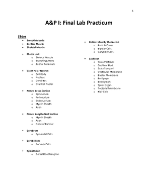 Lab 8 - Upper Limb Lab - lab - Lab 8: Anatomy of the Upper Limb Lab ...