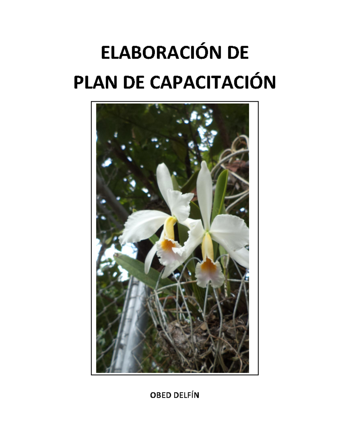Elaboracion DE PLAN DE Capacitacion - ELABORACI”N DE PLAN DE CAPACITACI”N OBED DELFÕN INTRODUCCI ...