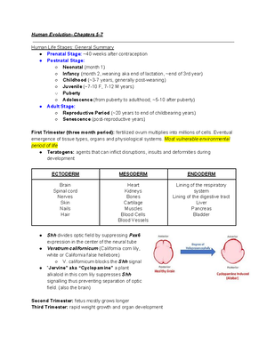 Exam 3 Study Guide - HUMAN EVOLUTION ANTH 18630 FALL, 2022 EXAM 3 STUDY ...