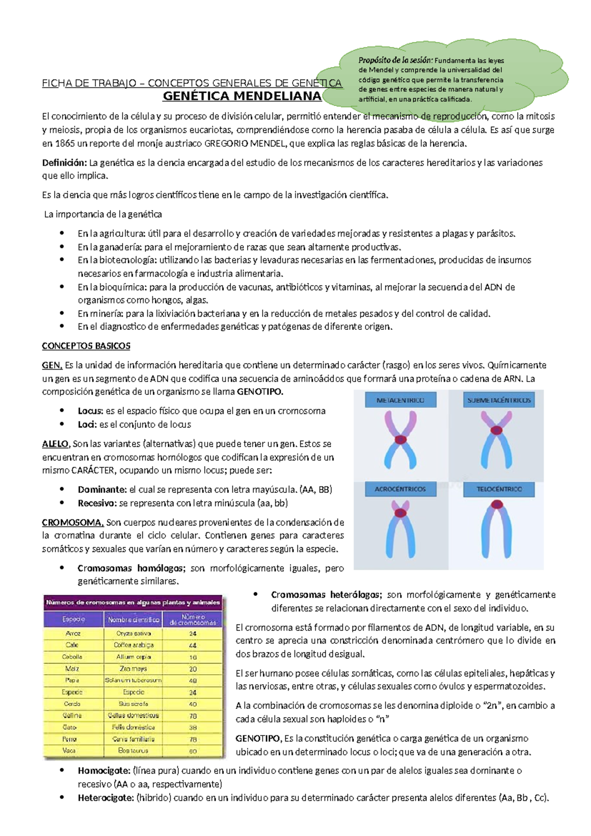 Ficha DE Trabajo Conceptos Geneticos - Propósito de la sesión ...