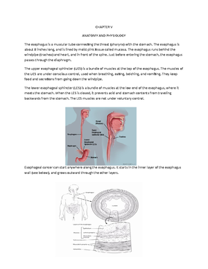 Anaphy 206 Human Bones - Name: CERIÑO, NOVEE JANE A. BSN1 A-FAITH 206 ...