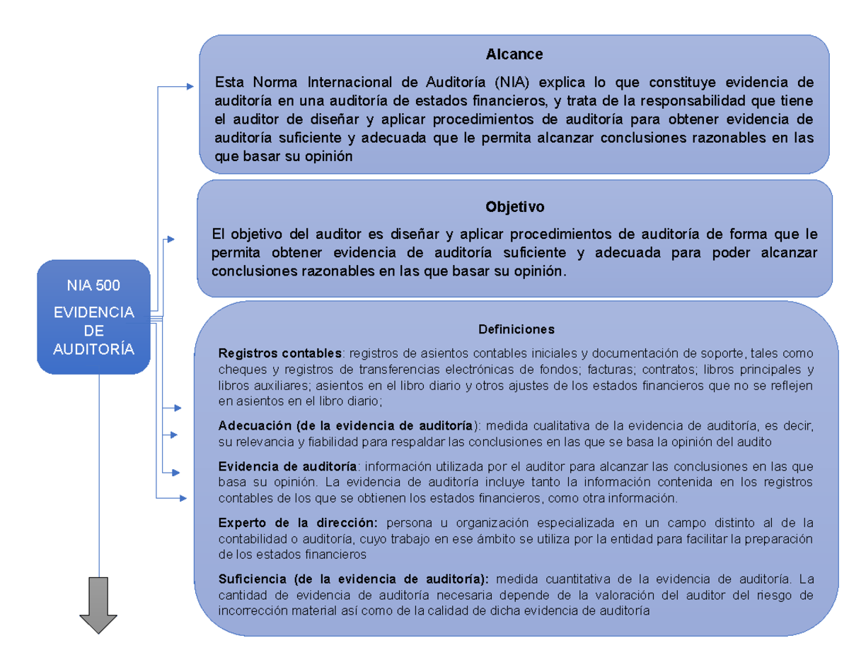 NIA 500 - unos apuntillos - Alcance Esta Norma Internacional de ...