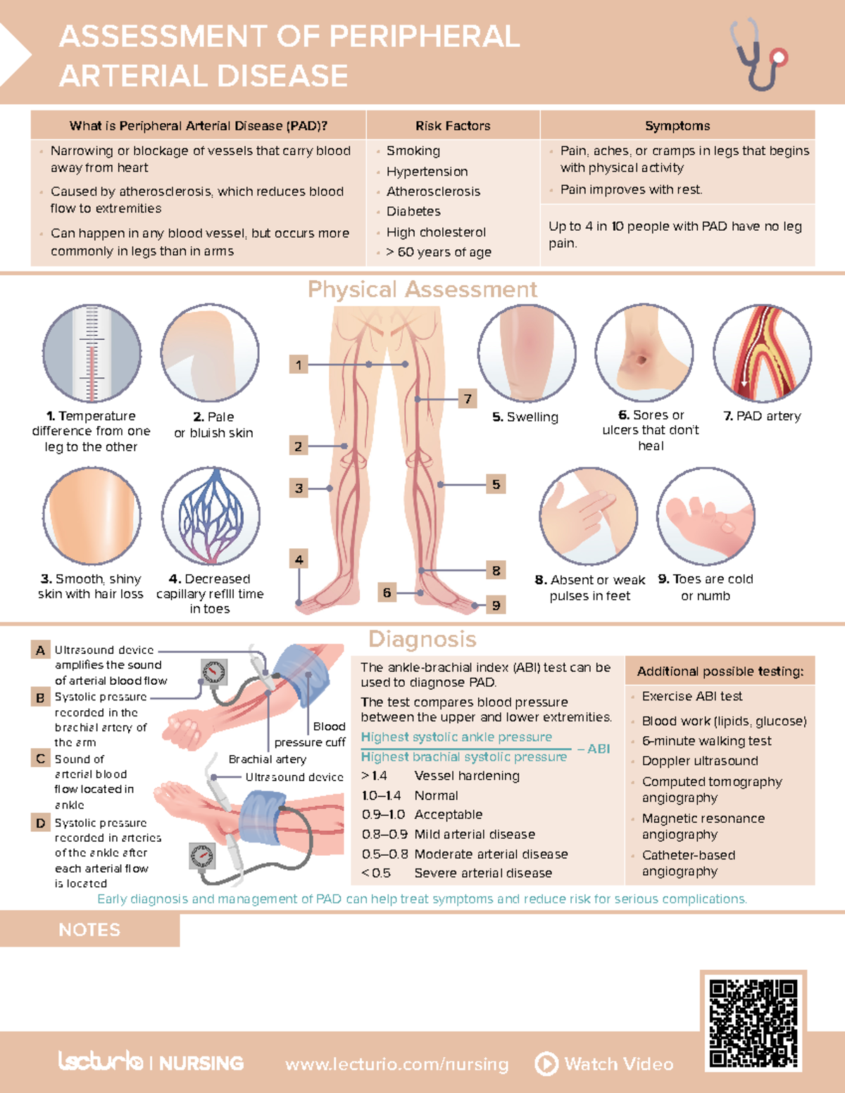 Nursing CS Assessment-of-Peripheral-Arterial-Disease 01 - lecturio ...