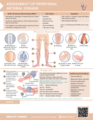 Competency indicators for each PDRP level - Condensed - Competency ...