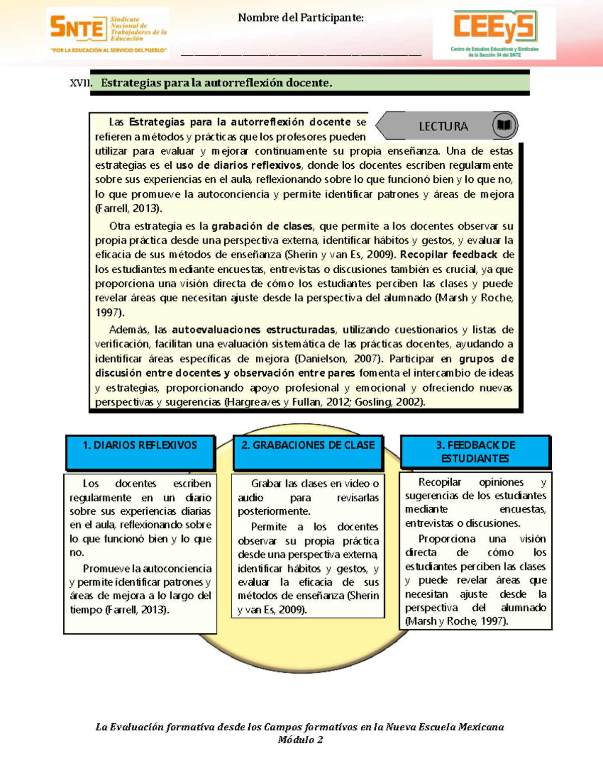 Ficha XVII. Estrategias para la autorreflexión docente - La Evaluación ...
