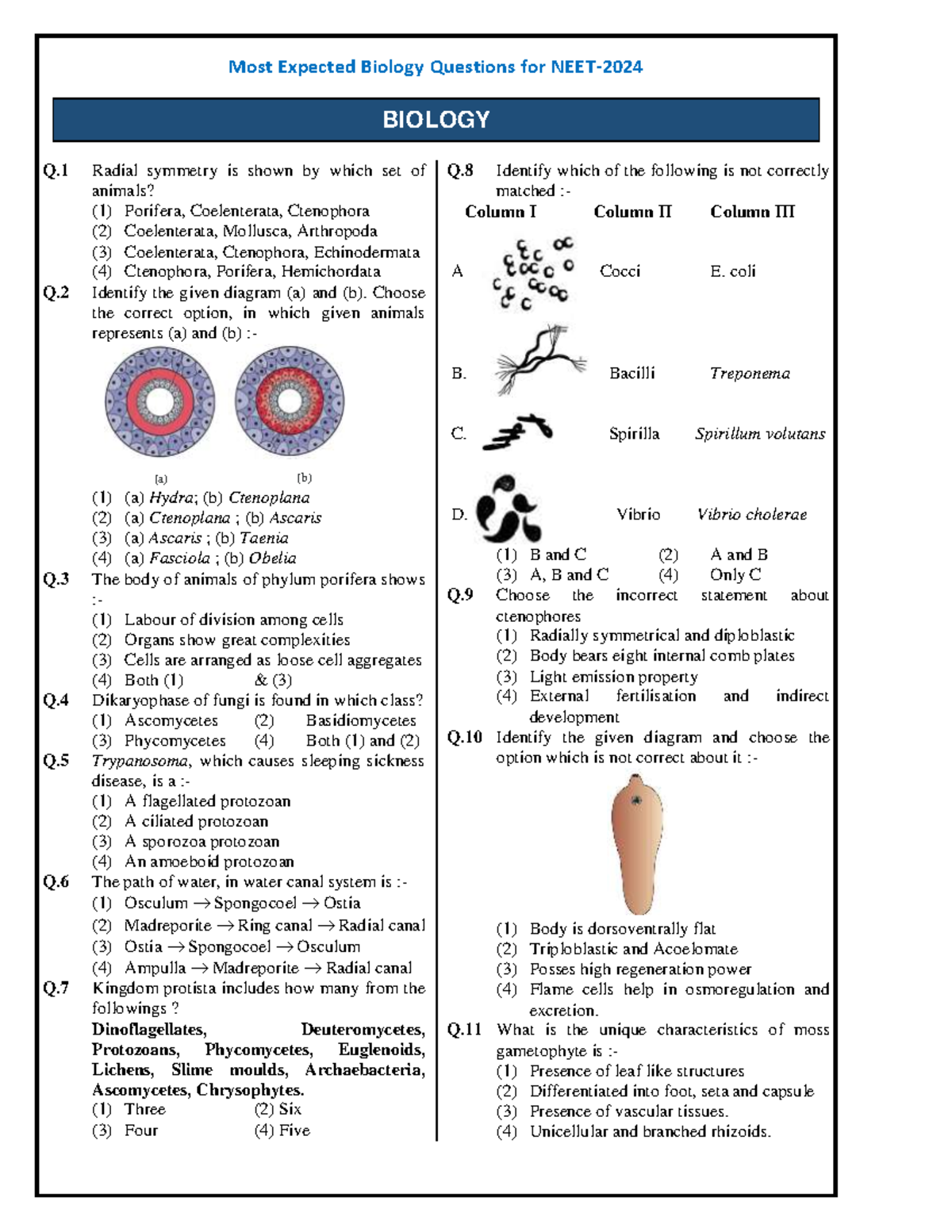Most excerpted questions NEET 2024 biology - BIOLOGY Q. 1 Radial ...