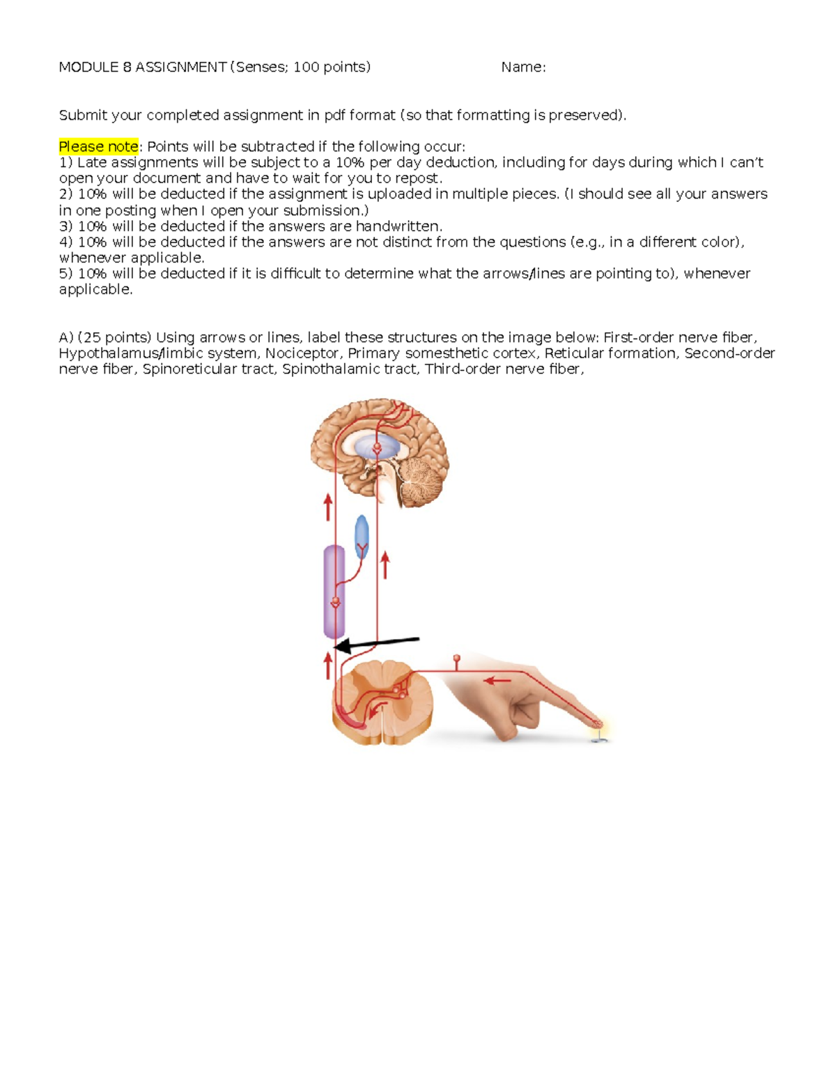 Spinoreticular Tract