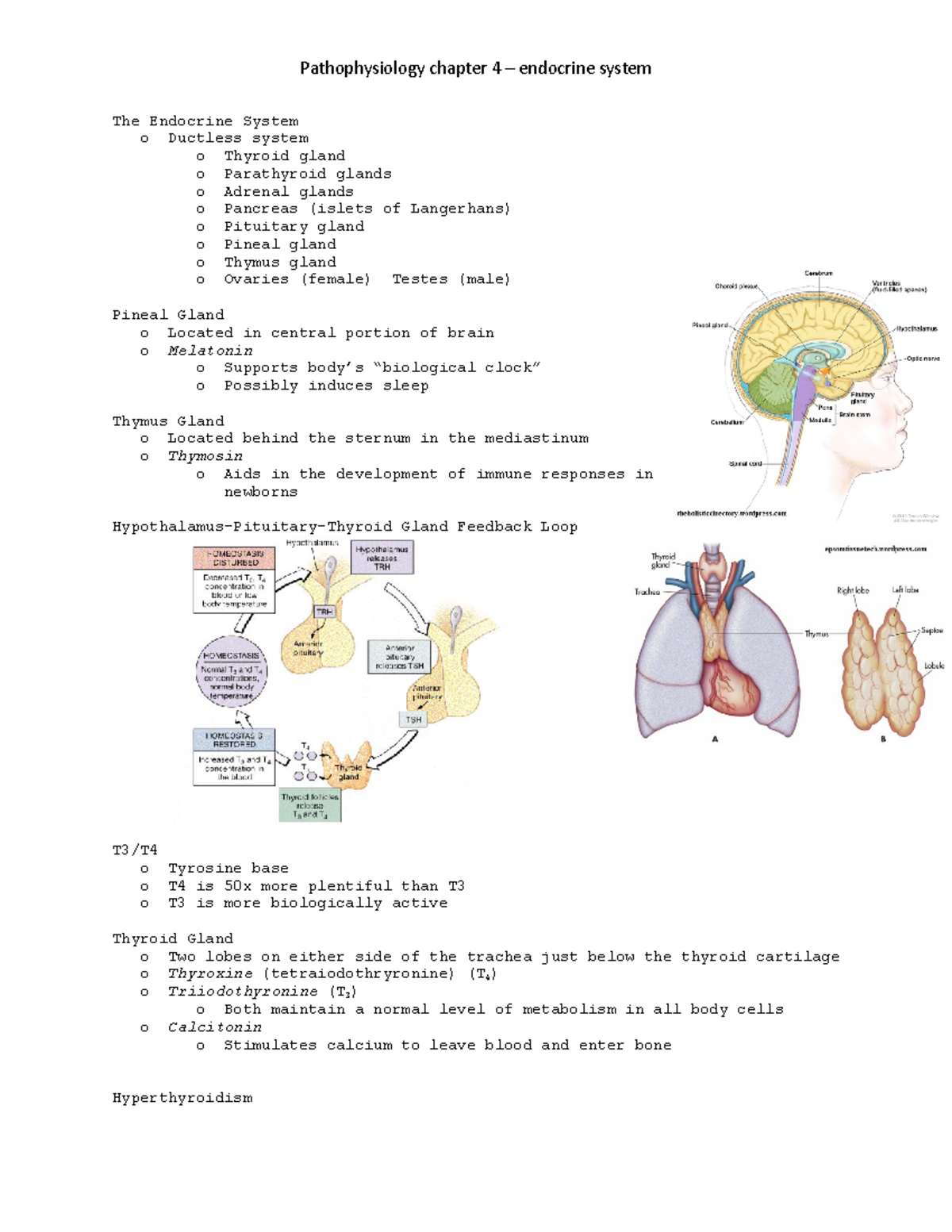 Path ch 4 - Endocrine - The Endocrine System o Ductless system o ...