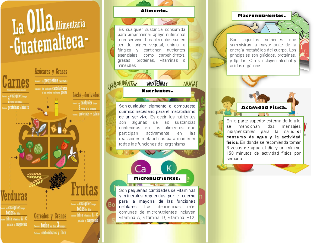 Triforial nutri - Alimento. Es cualquier sustancia consumida para ...