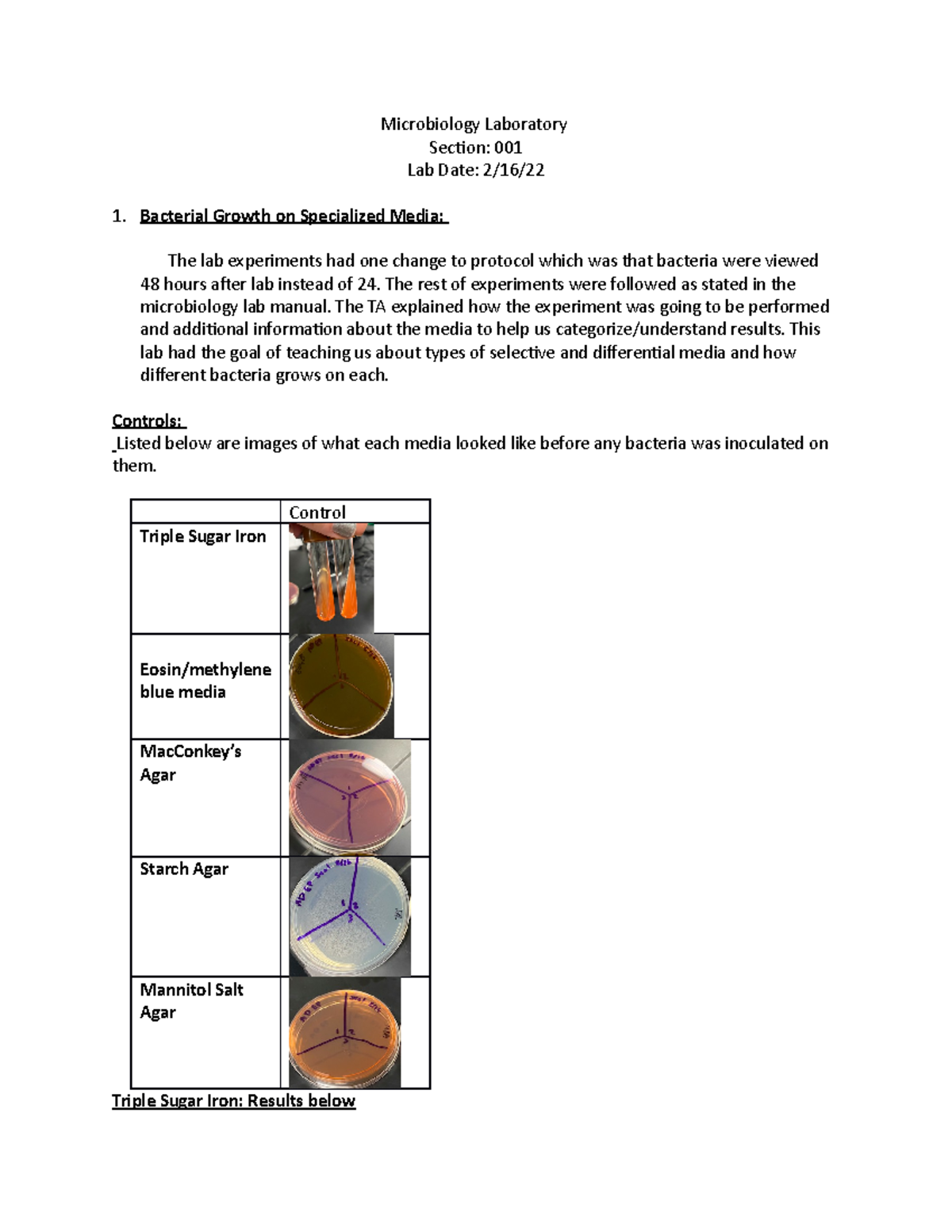 Microbiology Laboratory lab 5 - Microbiology Laboratory Section: 001 ...