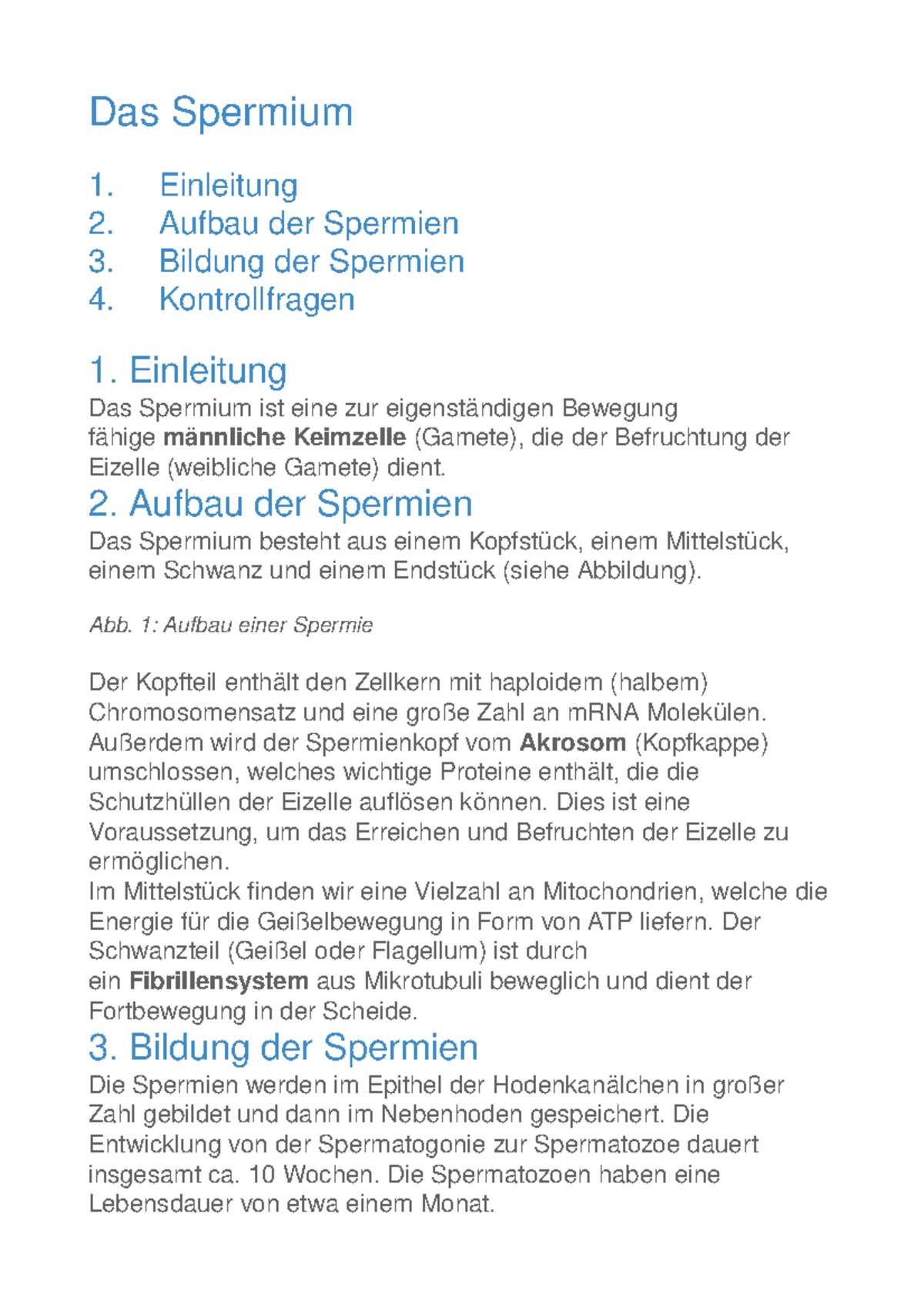 Spermium - Kurs WS Biologie - MedAT 2018/19 - Das Spermium 1 ...