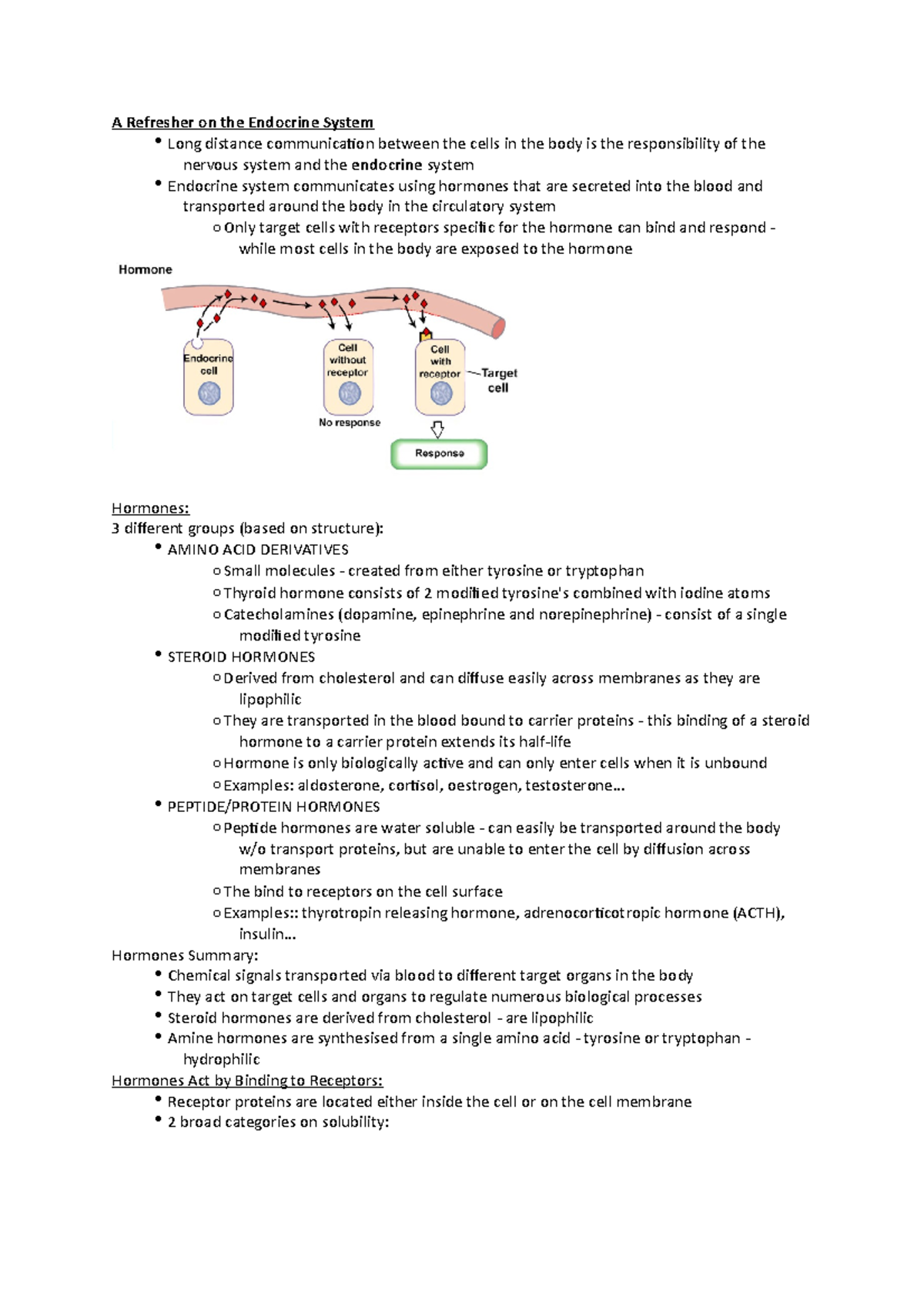 Week 1 - Refresher on Endocrine System + Hormones - A Refresher on the ...