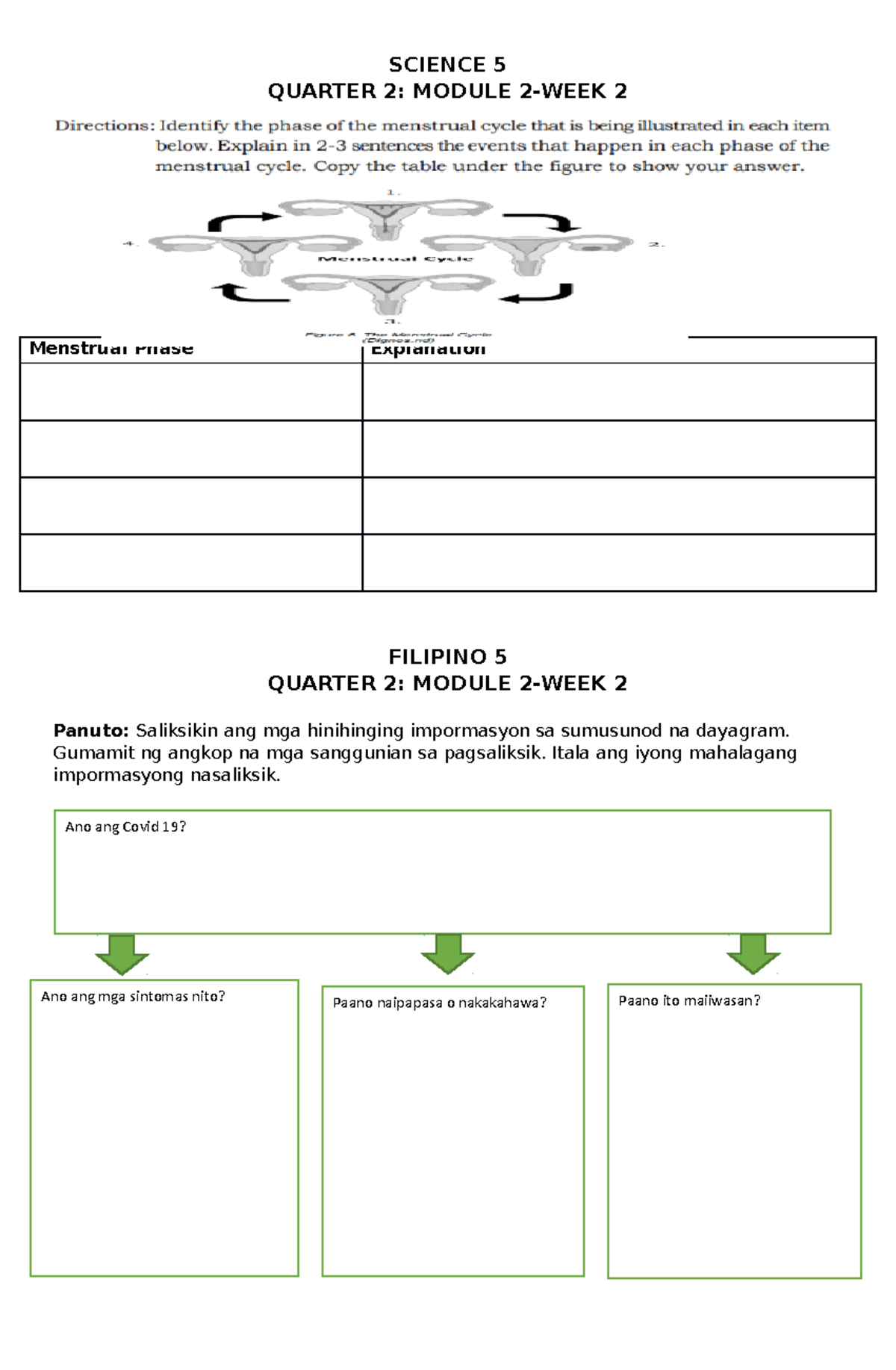 Answer Sheet - SCIENCE 5 QUARTER 2: MODULE 2-WEEK 2 Menstrual Phase ...