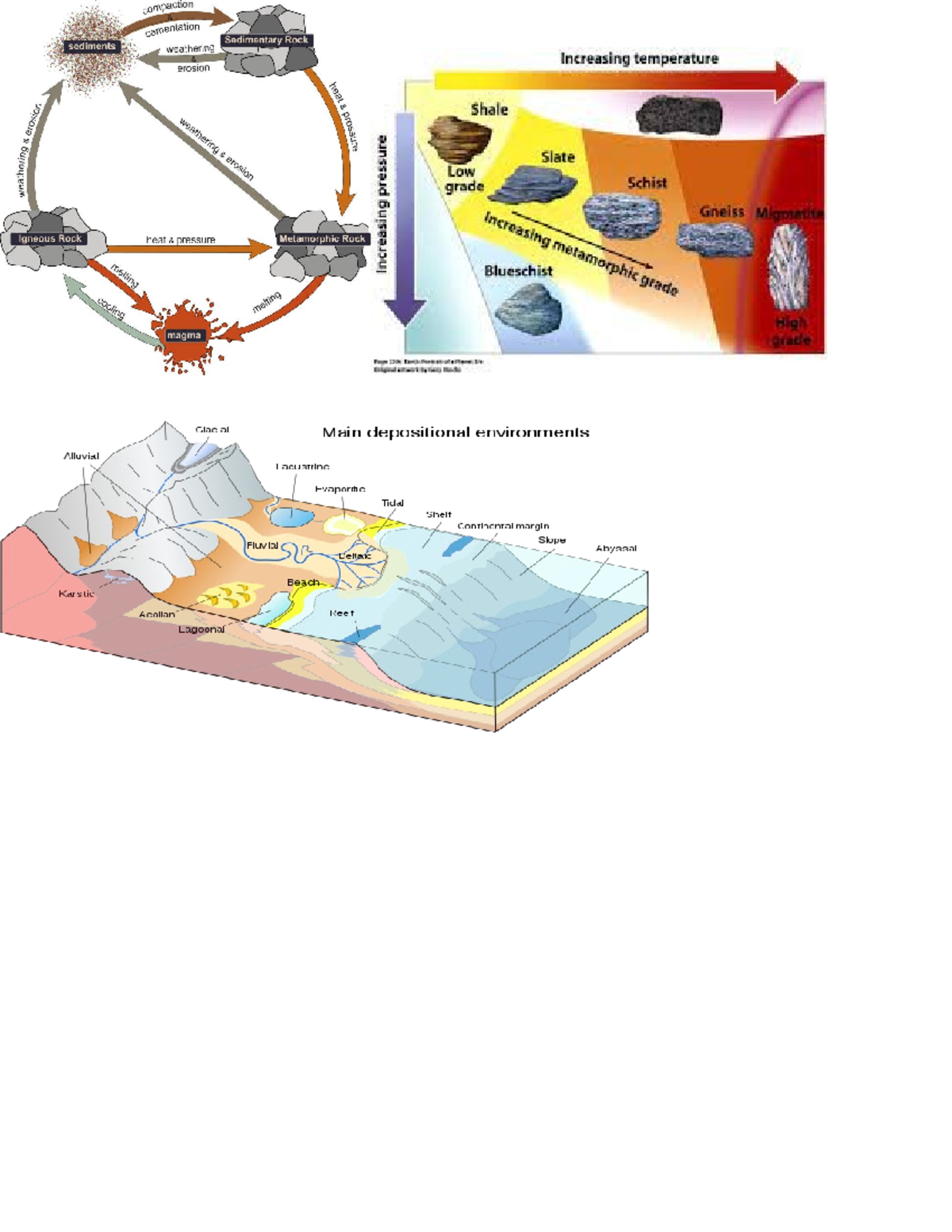 Geology 101 study guide - Lithified detritus (weathering and erosion of ...