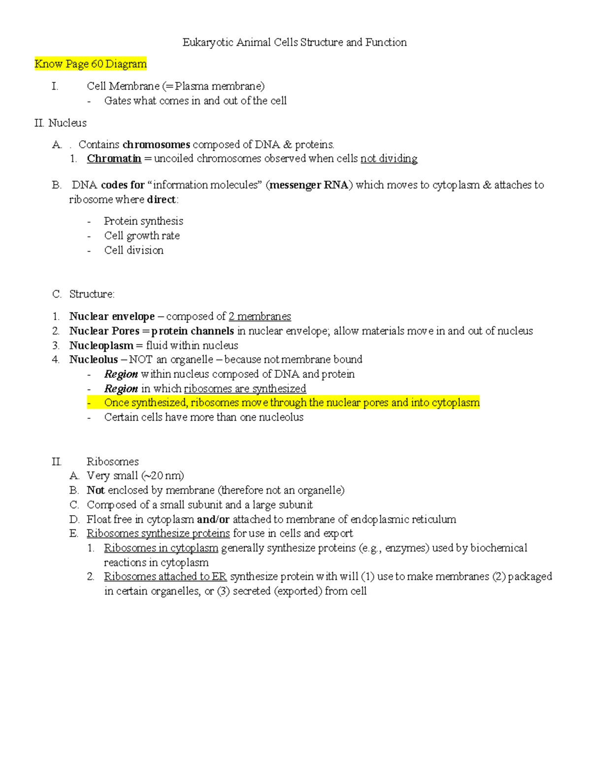 Eukaryotic cells s21 - Eukaryotes notes - Eukaryotic Animal Cells ...