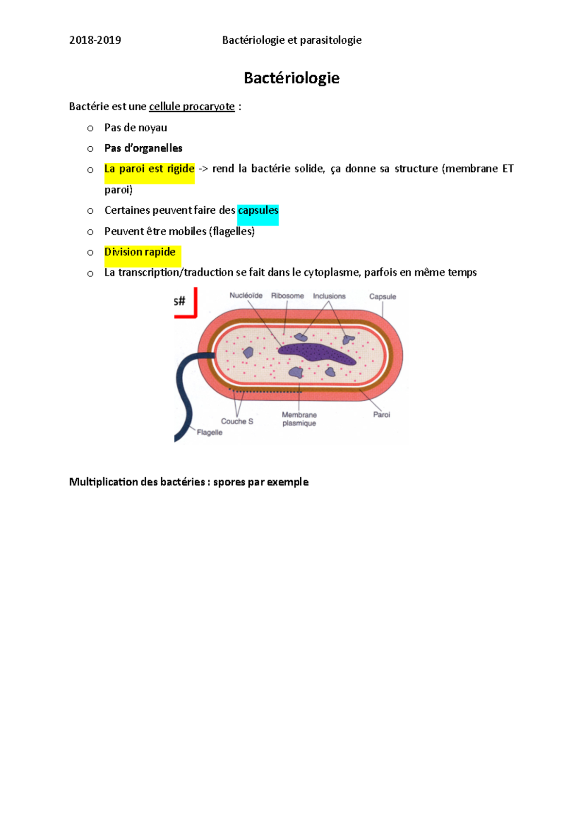 B) bactériologie - Warning: TT: undefined function: 32 Bactériologie ...