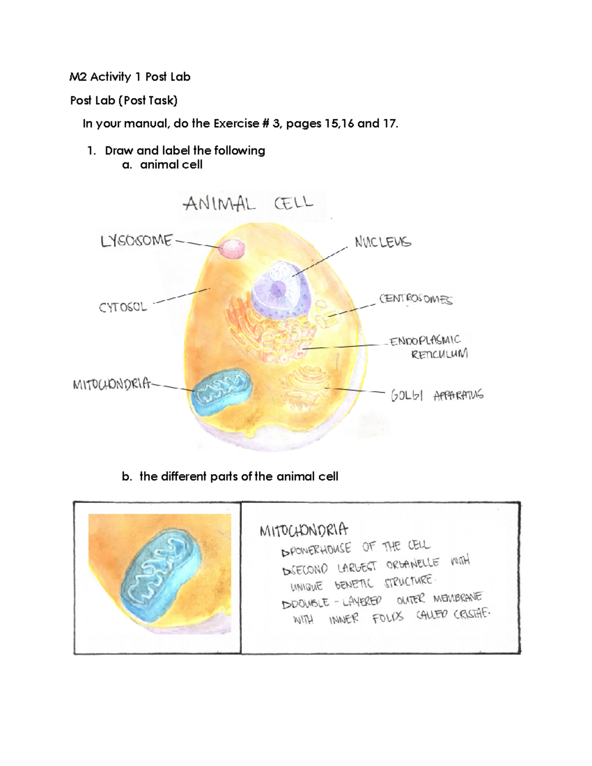 M2 Activity 1 Post Lab - Lecture notes 2 - M2 Activity 1 Post Lab Post ...