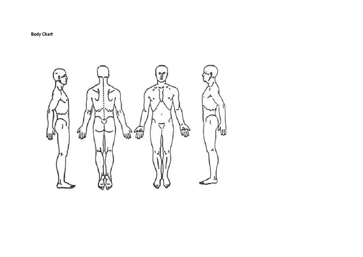 Body Chart - HZPHPW - Studocu