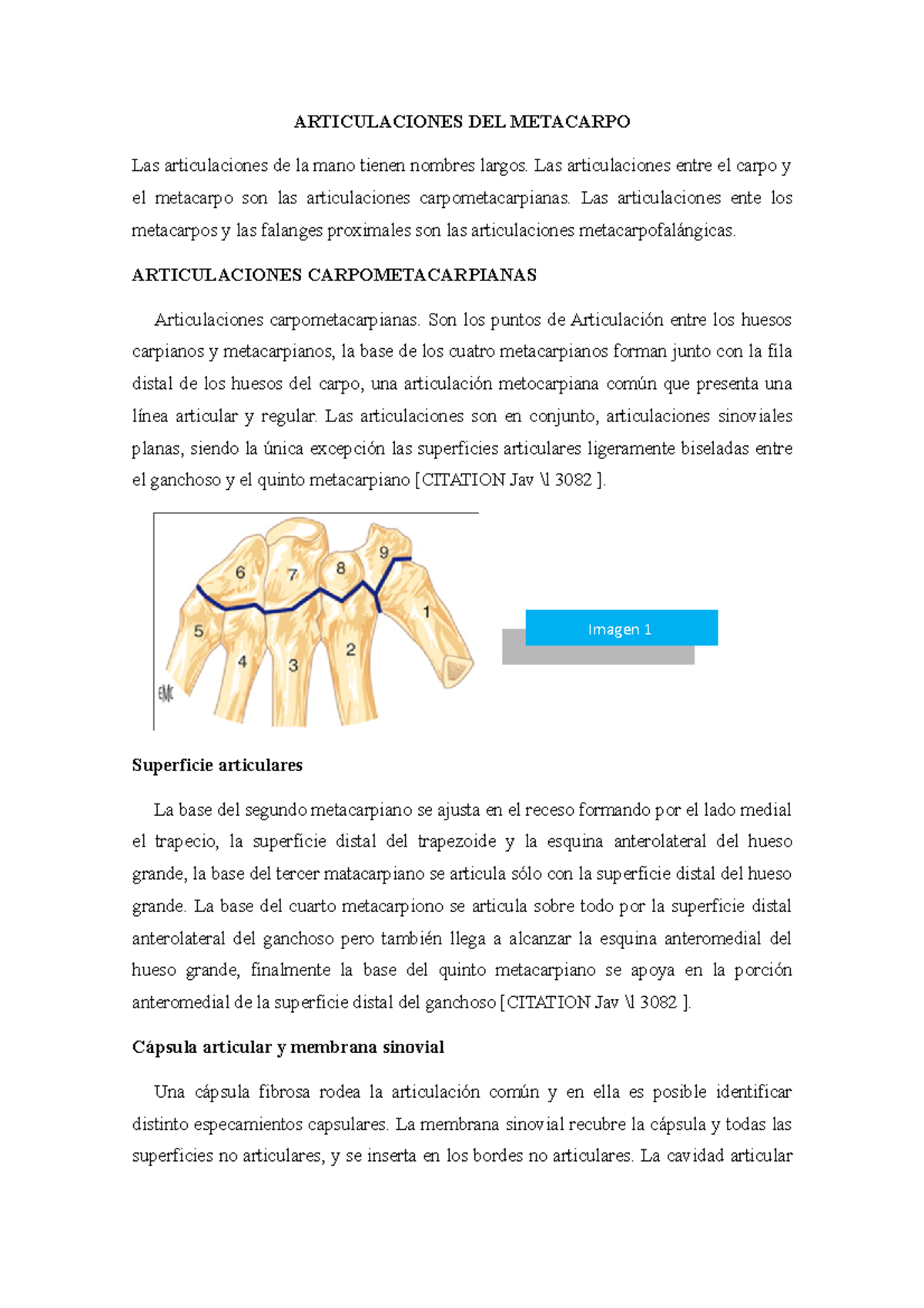 Articulaciones - Las articulaciones entre el carpo y el metacarpo son las articulaciones - Studocu