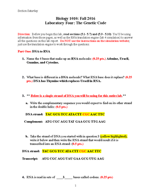 BIO1010 Lab 5 Mitosis and Meiosis S8 Fall16 - Section S Biology 1010 ...