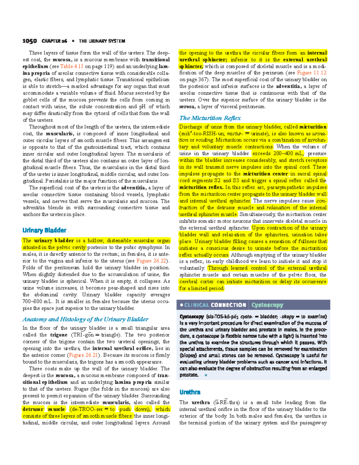 DOC-20230918-WA0033 - Basic anatomy and physiology are essential for ...