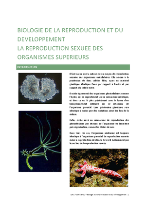 III - Oviviparité et viviparité - BIOLOGIE DE LA REPRODUCTION ET DU ...