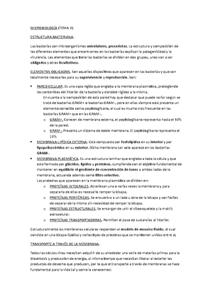 Cuadernillo DE Prácticas Microbiología - Warning: TT: undefined function: 32 Warning: TT ...