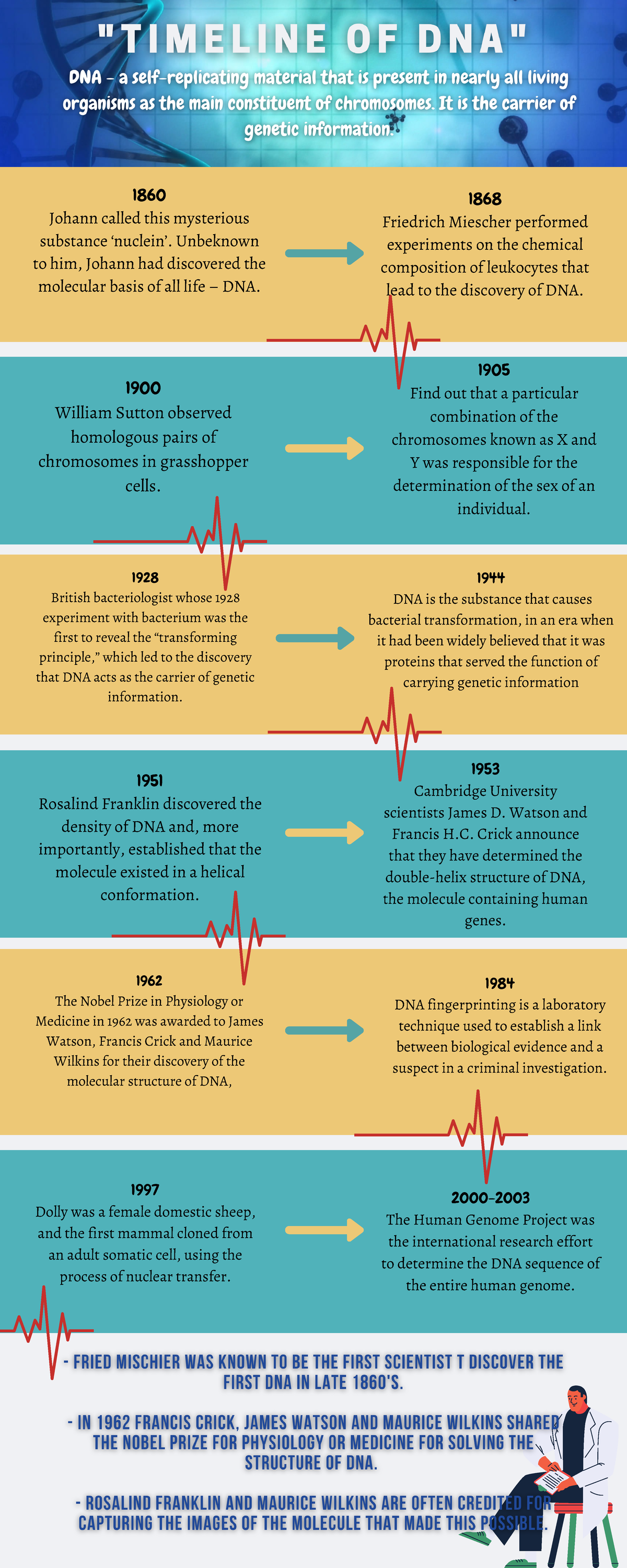 Timeline OF DNA - 1928 British bacteriologist whose 1928 experiment ...