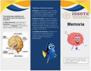 Brief parent form - Evaluación de las funciones ejecutivas - BRIEF ...