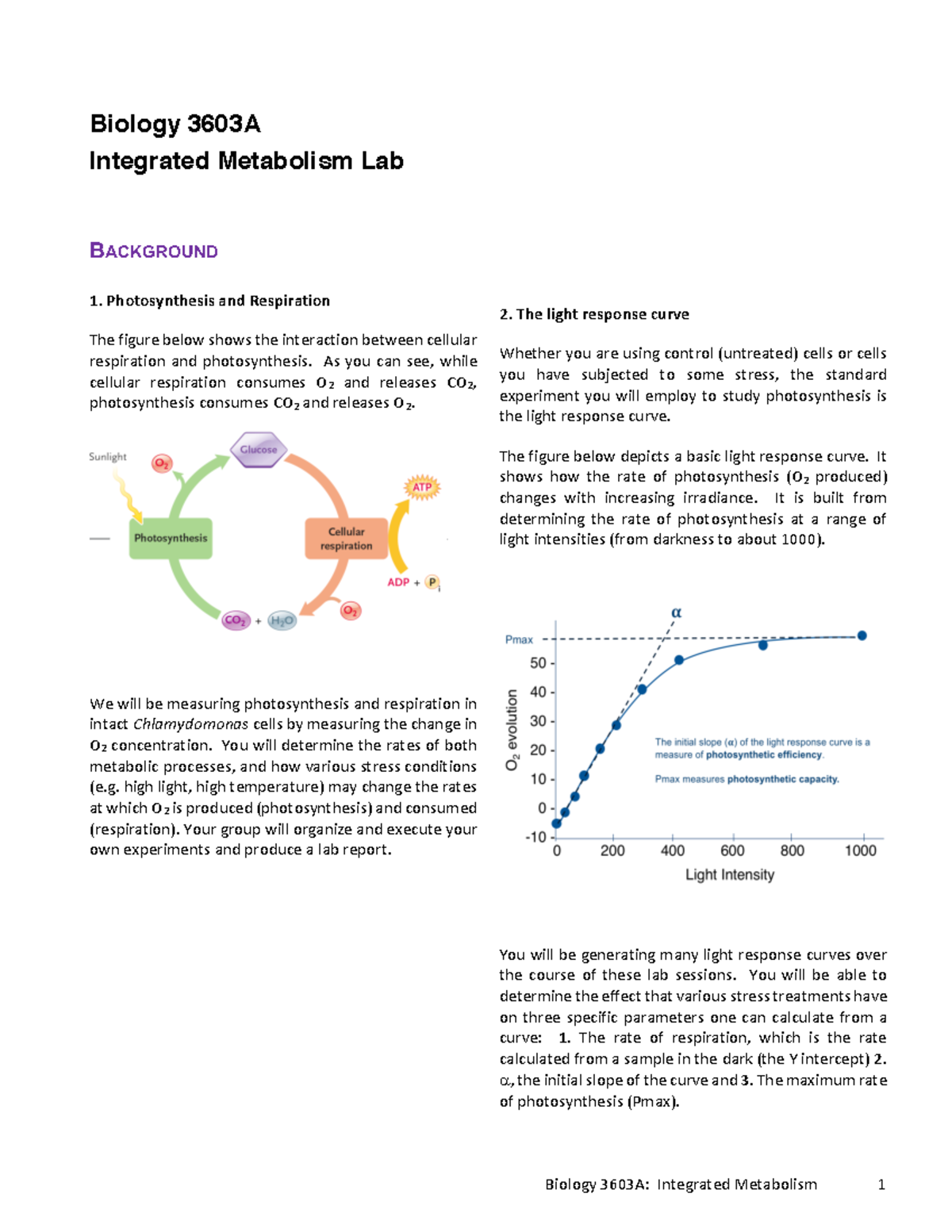 Integrated Metabolism 2021-1 - Biology 3603A Integrated Metabolism Lab ...