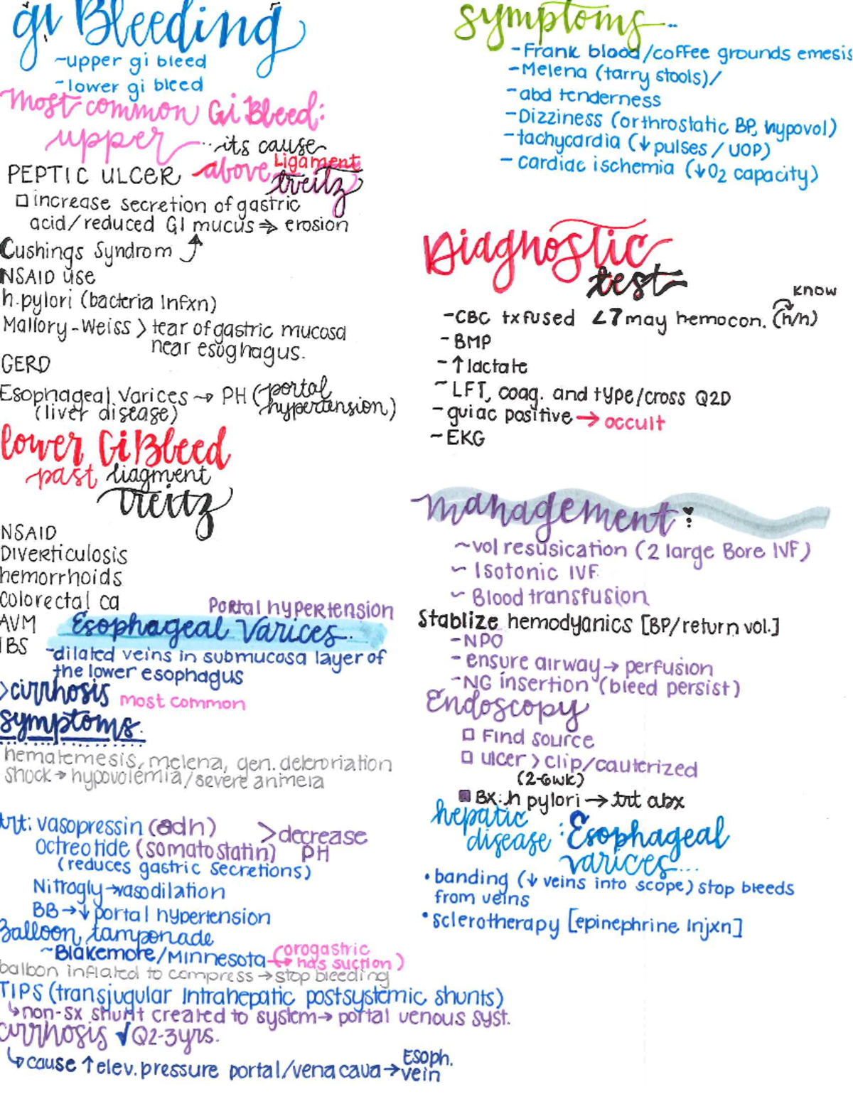 Hep and GI Issue - Hep and gi notes - NUR 4267 - Studocu