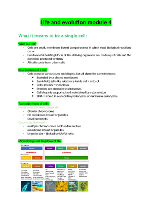Life and evolution module 2 - DNA and RNA (involved in production of ...
