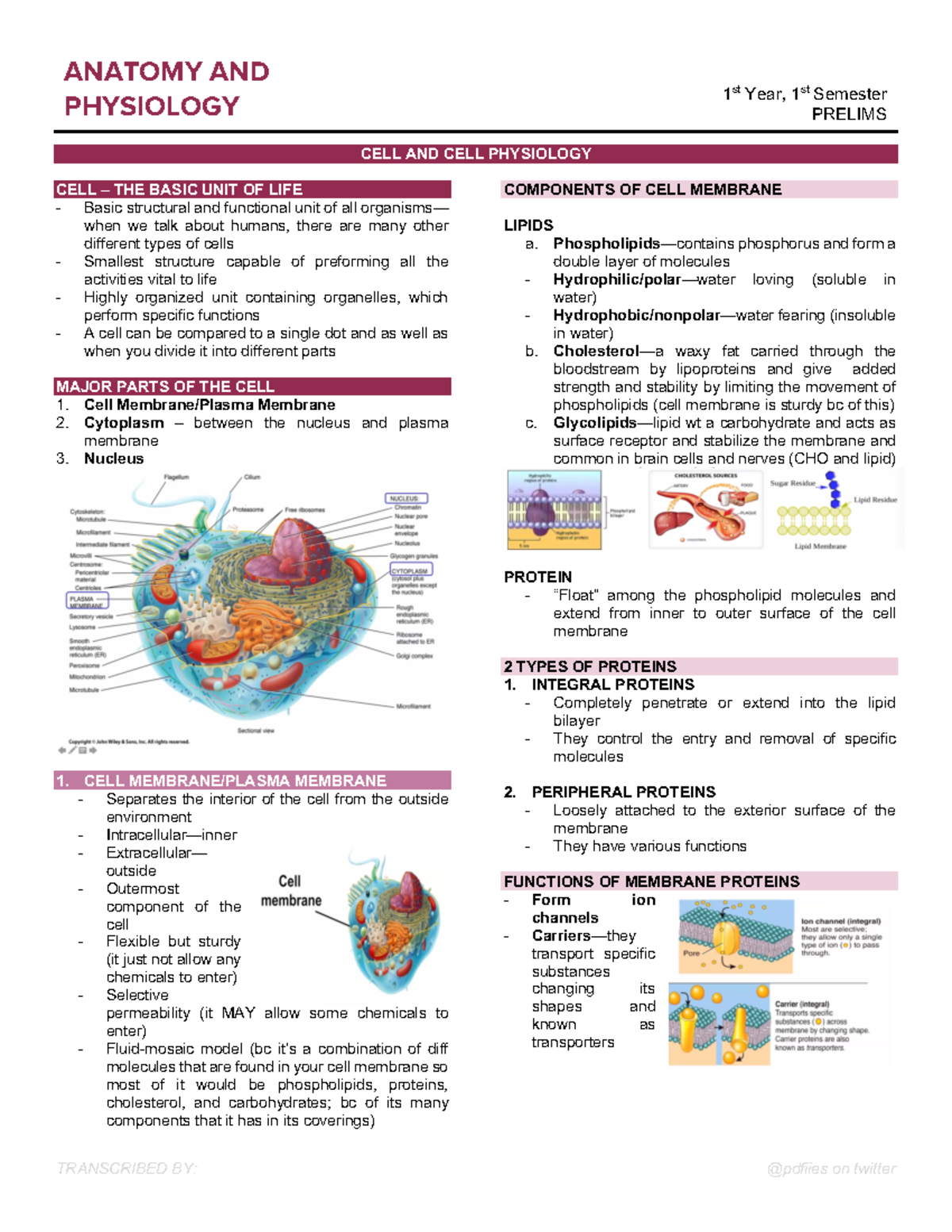 AP02-Cells and Cell Physiology - ANATOMY AND 1 st Year, 1st Semester ...