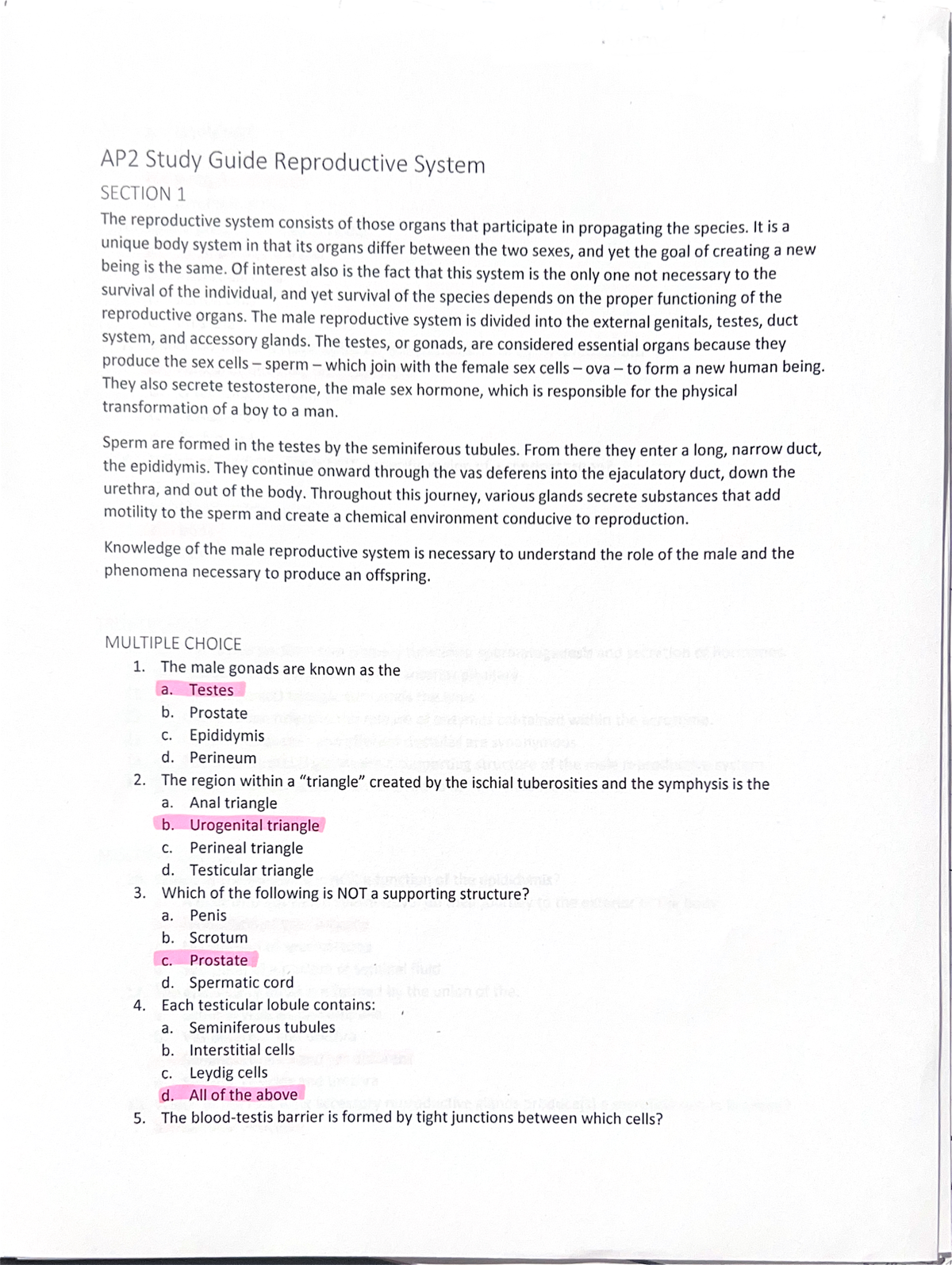 Reproductive System Study Guide - BIOL 2114 - Studocu