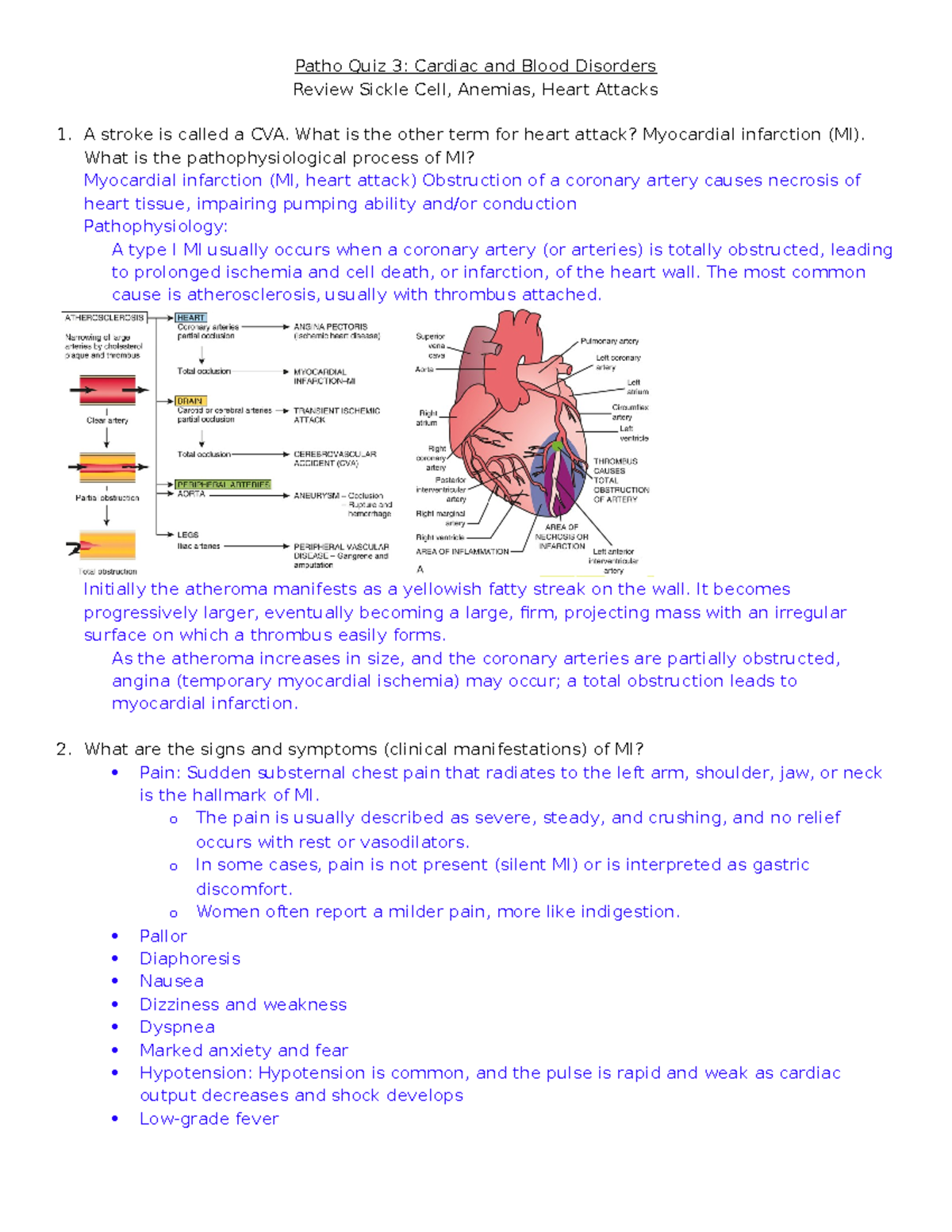 Patho Quiz 3: Cardiac and Blood Disorders Study Guide - Patho Quiz 3 ...