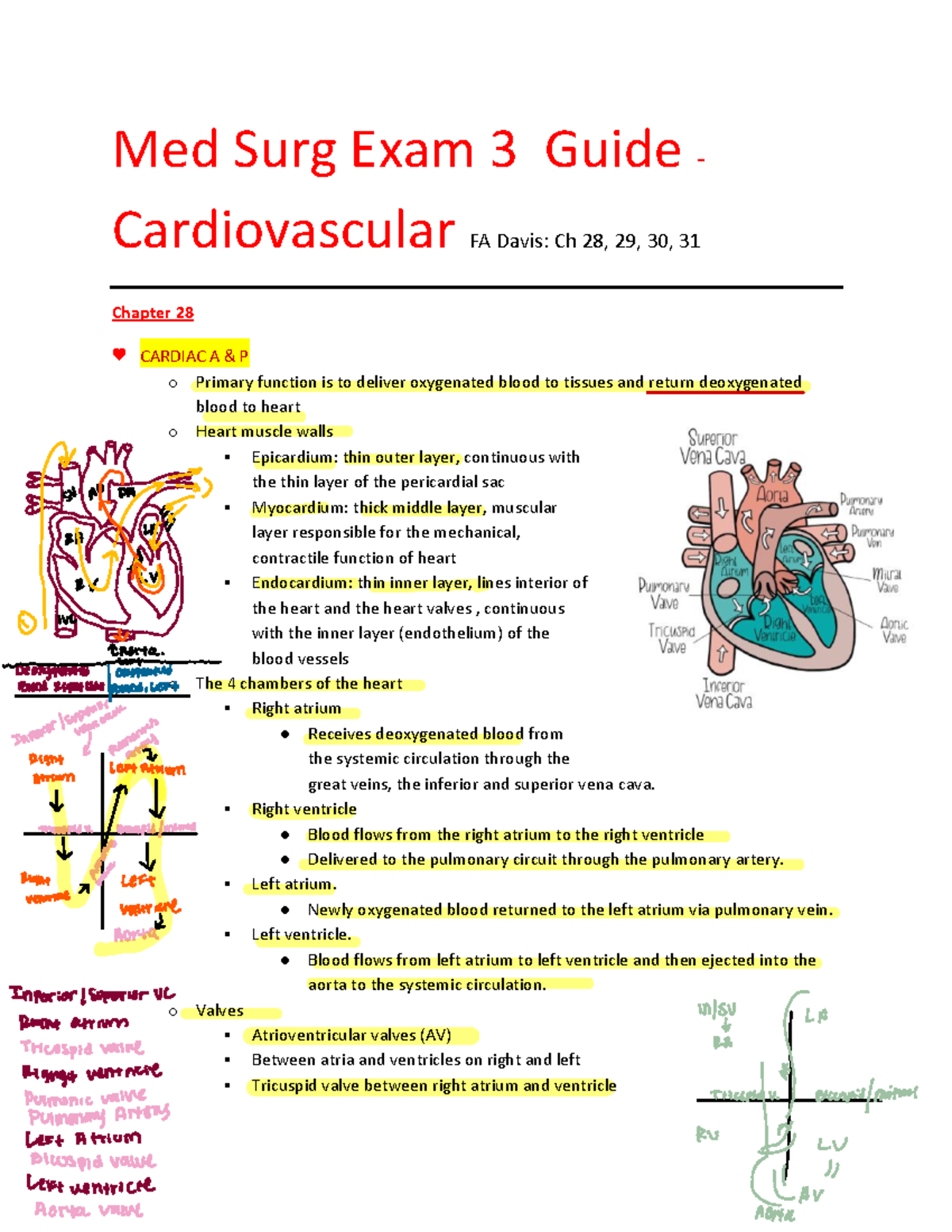 FILE 7167 - good - Med Surg Exam 3 Guide - Cardiovascular FA Davis: Ch ...
