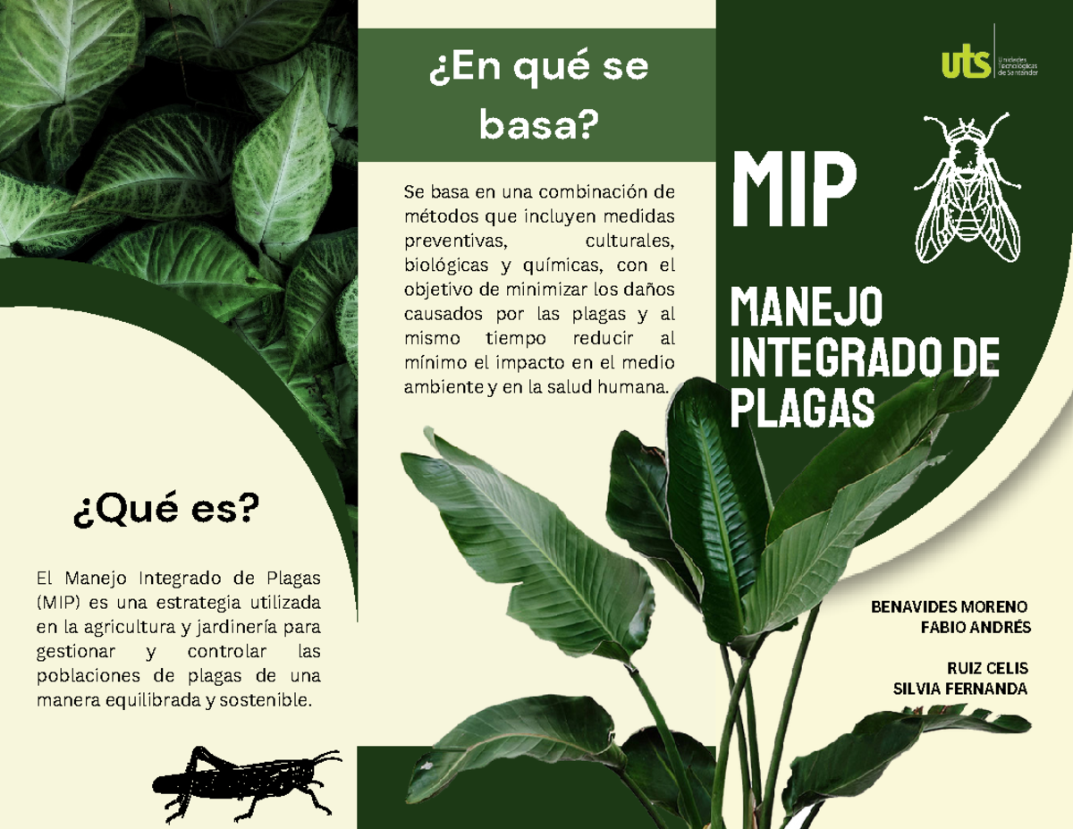 MIP - Socializar esto - MANEJO INTEGRADO DE PLAGAS MIP ¿En qué se basa? Se basa en una ...
