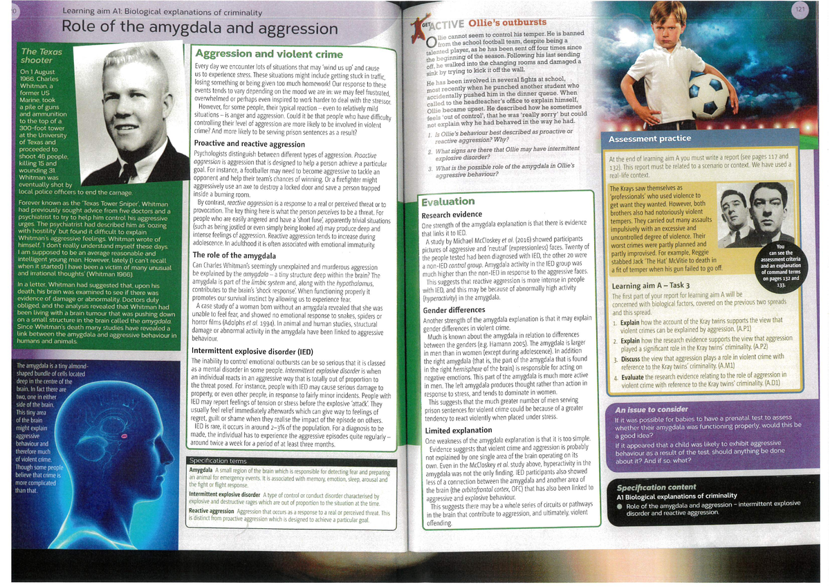 Pearson Book Pages 120-121 - C810 - Studocu