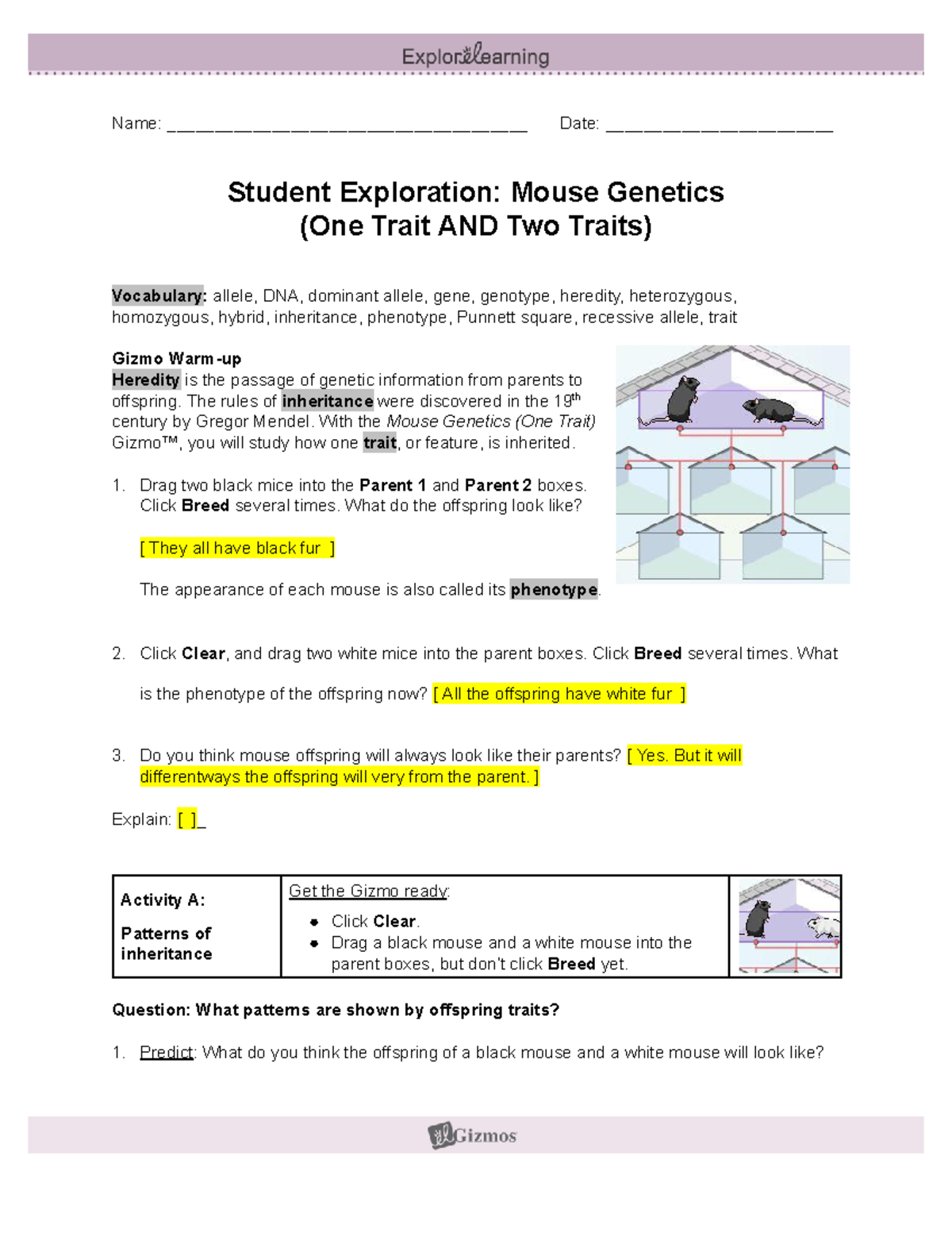 Copy of Mouse Genetics Gizmo Student Exploration Sheet - Name: - Studocu