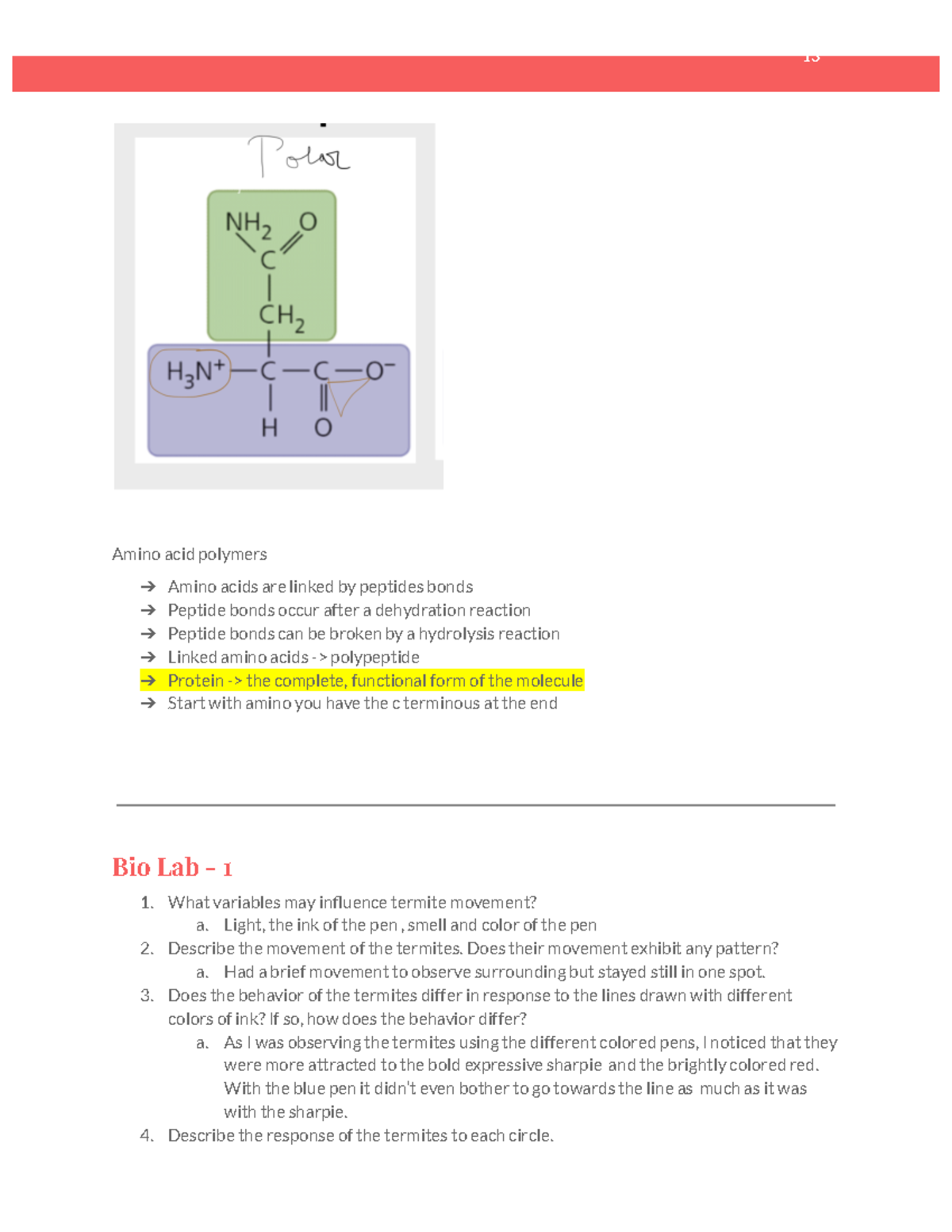 Bio notes - Gen Bio I - 13 Amino acid polymers Amino acids are linked ...